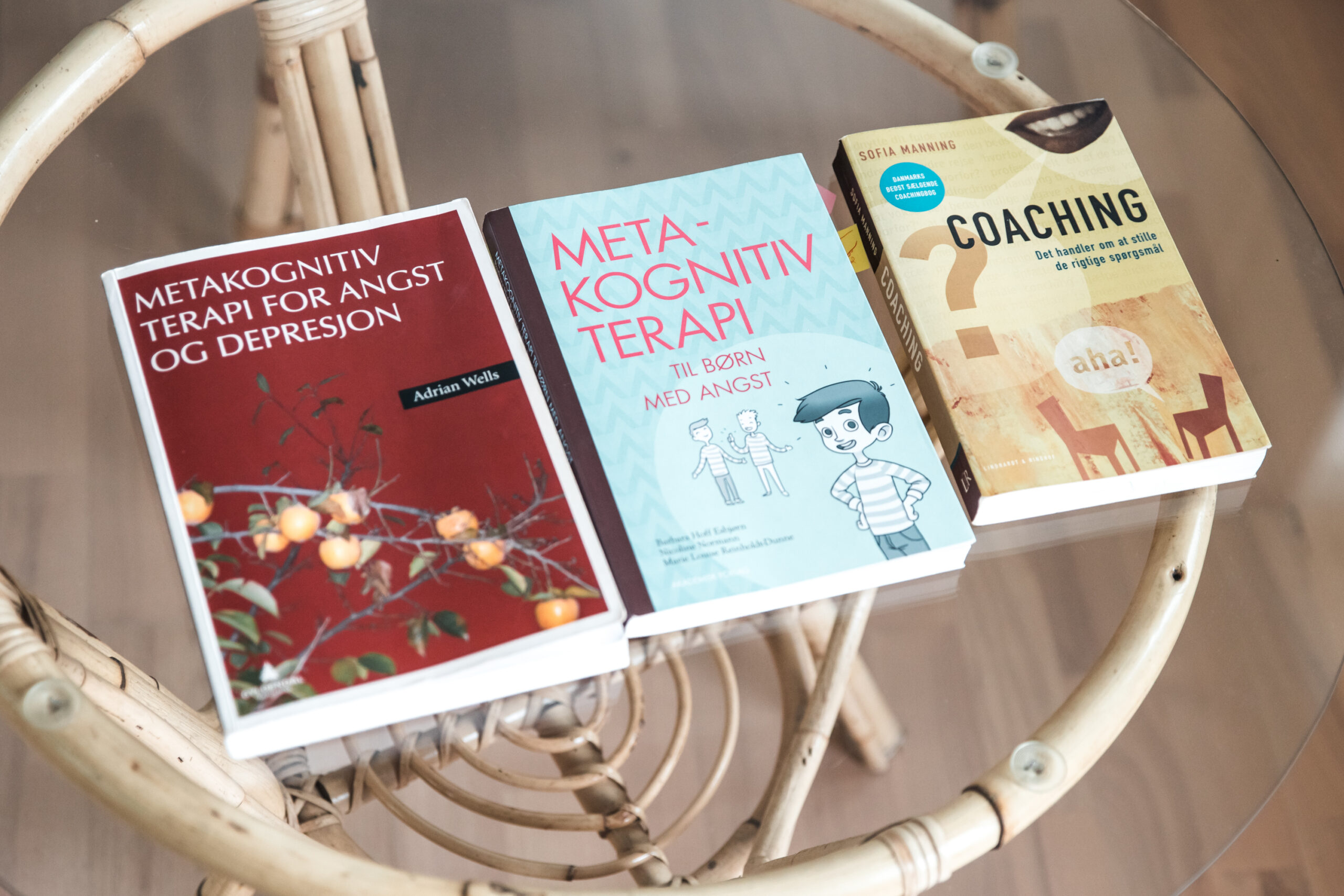 Metakognitiv terapi - Bente Bendix